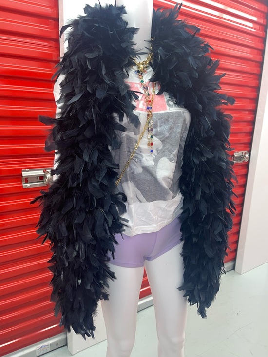 Accessories | Theatrical Black Feather Boa With Dramatic Volume | Poshmark